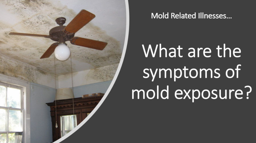 What are the Symptoms of Mold Exposure? - Gluten Free Society