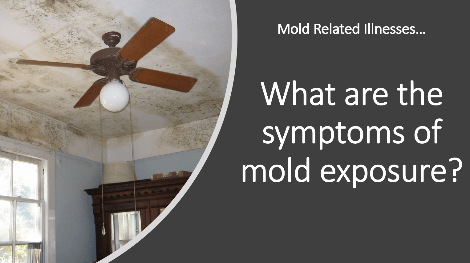 What Are The Symptoms Of Mold Exposure Gluten Free Society