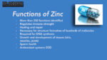What Are The Functions of Zinc? - Gluten Free Society
