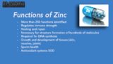 What Are The Functions of Zinc? - Gluten Free Society