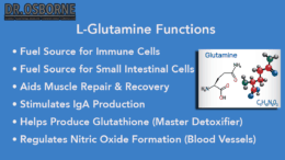 The Ultimate Crash Course on L-Glutamine - Gluten Free Society