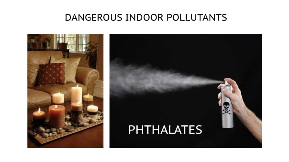 How To Combat Toxic Air Pollution - Gluten Free Society