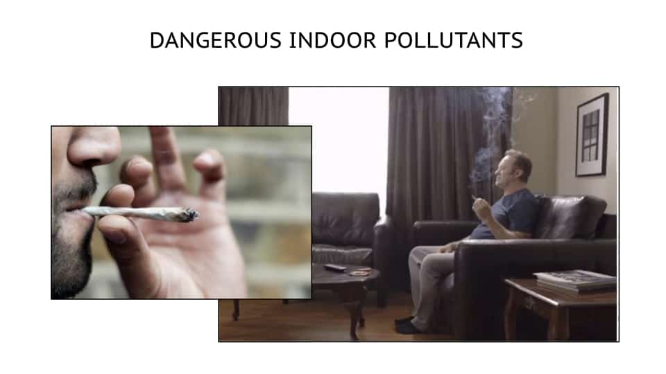 How To Combat Toxic Air Pollution - Gluten Free Society