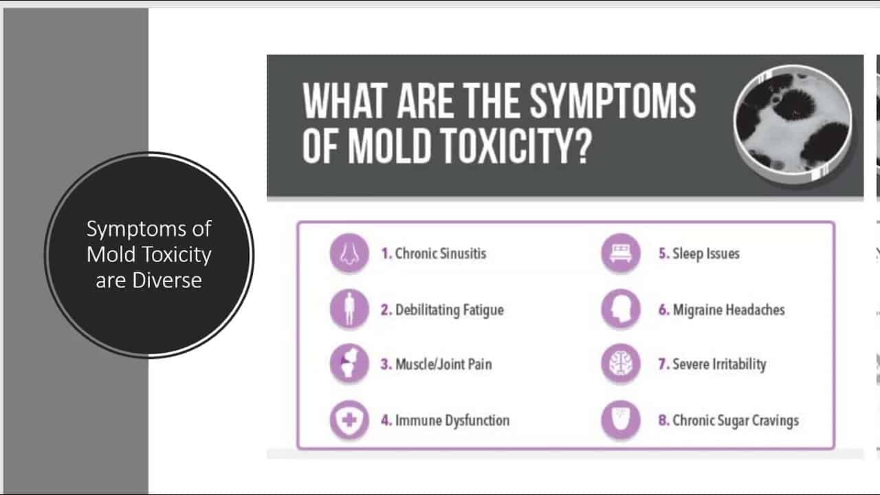 What are the symptoms of mold exposure - Gluten-Free Society