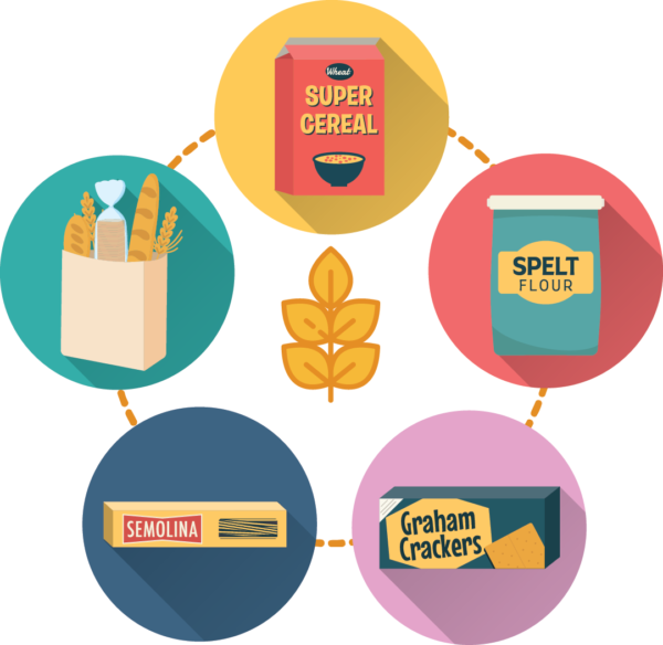 What Foods Contain Gluten? Use This Ultimate List to Learn More