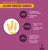 No Grain No Pain - Pain Mechanisms - Gluten Free Society