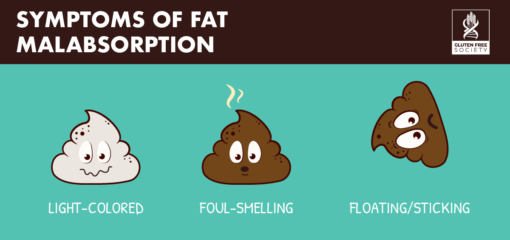 Does Gluten Cause Fat Malabsorption? - Gluten Free Society