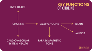 Choline Deficiency & Gluten - Gluten-Free Society