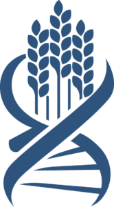 Is Syrup Gluten Free? - Gluten Free Society