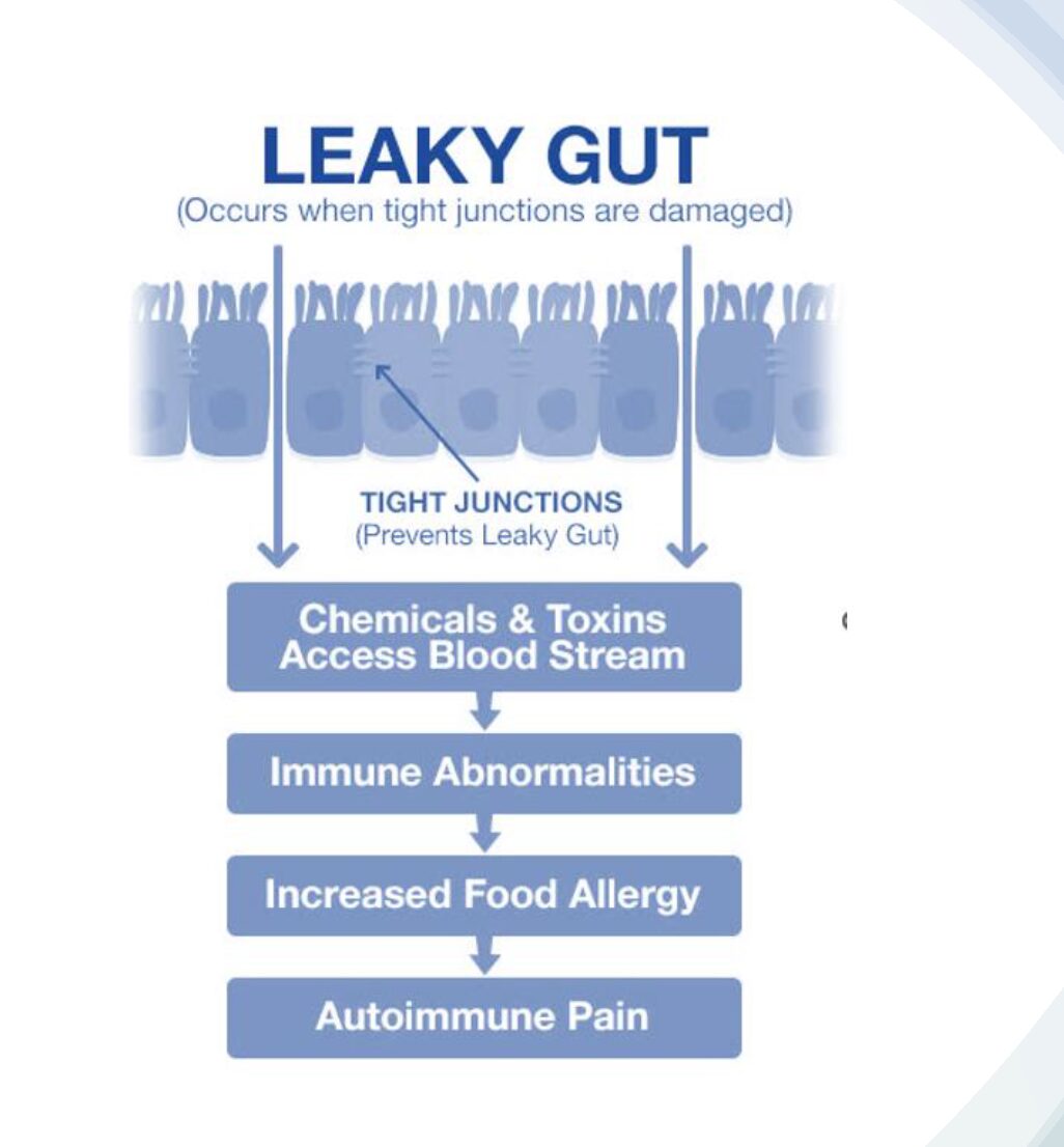 Images from How To Heal Your Leaky Gut - Gluten Free Society
