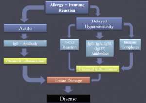 Using The Right Lab Test To Identify Food Allergies - Gluten Free Society